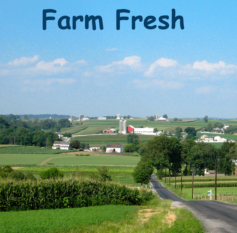 Moments With Mother Culture®: Farm Fresh