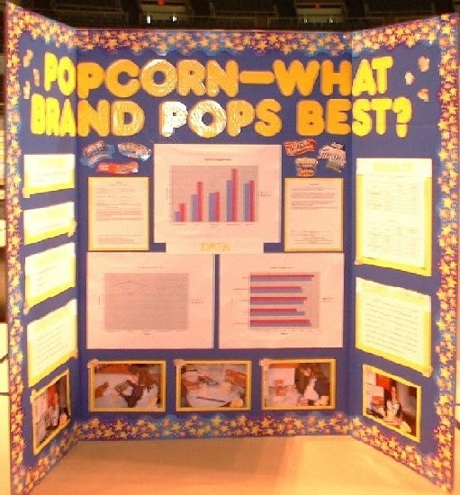 Cherry Tree Science Fair 2010 Display Board Examples