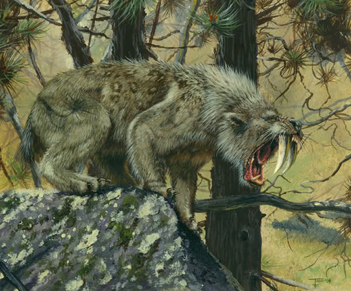 Saber-toothed cat: Smilodon (saber-toothed cats)