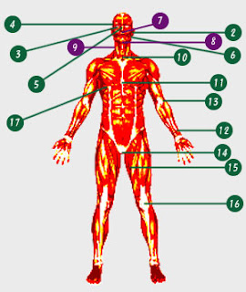 KARATE THE POWER OF LIFE: SECRET VITAL POINTS IN HUMAN BODY