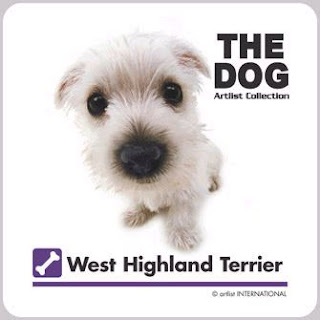 Land of Cute: The Big Head Dogs