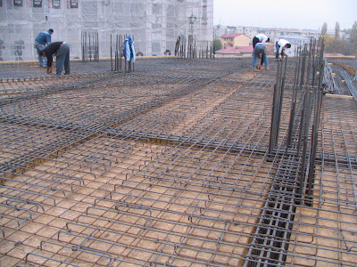 Vasile Maradin: Armare Placa