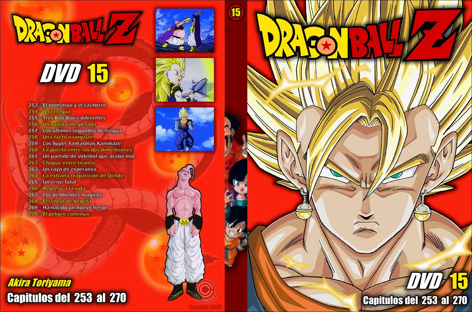 Caratulas Dragon Ball: DRAGON BALL Z CUSTOM Vol.15 (DVD)