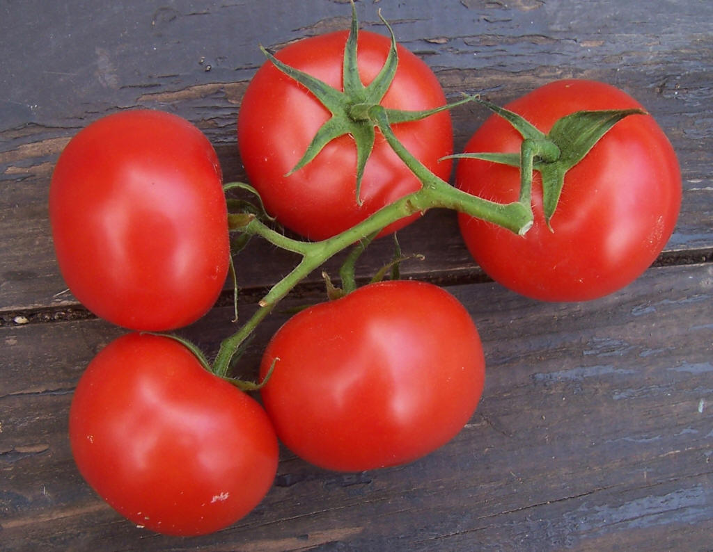 tomaticos