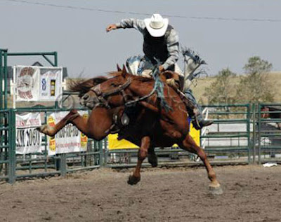 Rodeo Fest Show Estado de México - Toluca Noticias | De Hoy