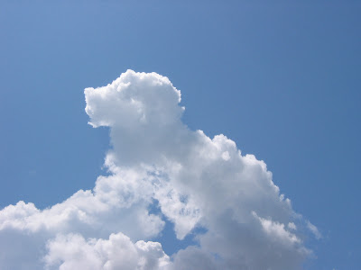 Clouds That Look Like Something Else ~ Now That's Nifty