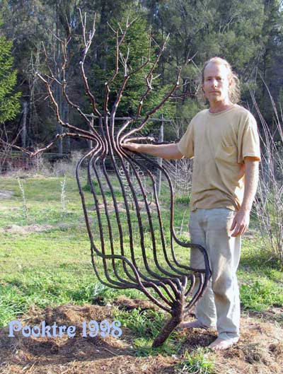 18 Beautiful and Strange Trees ~ Now That's Nifty