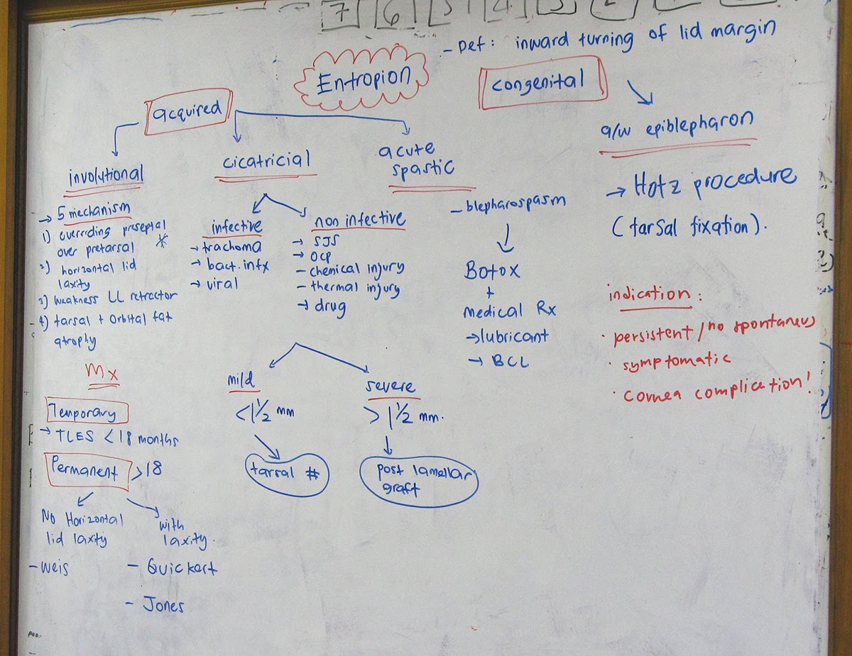UKM Ophthal Part 2 2010: Entropion