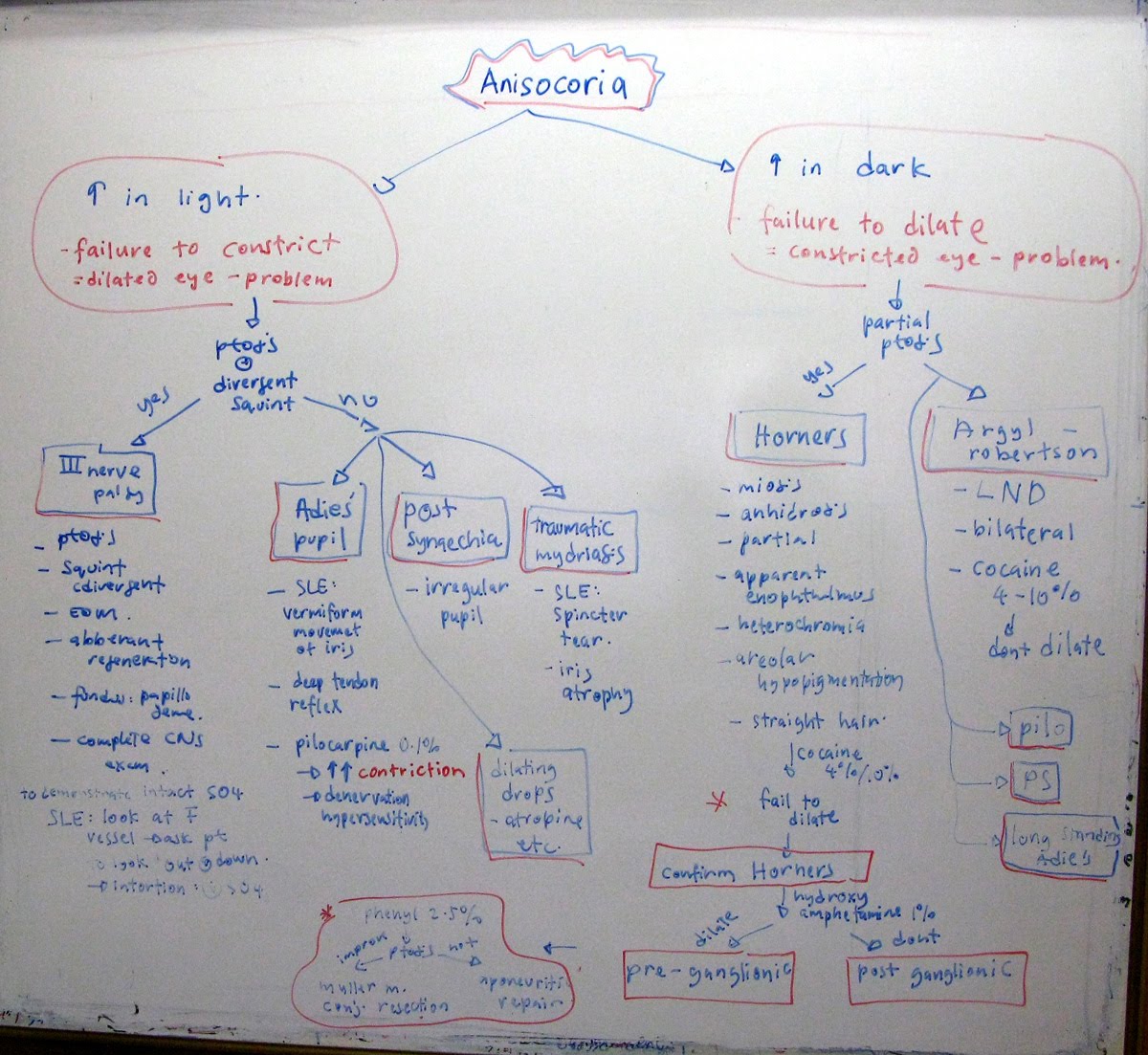 UKM Ophthal Part 2 2010: Anisocoria & Pupil Examinations