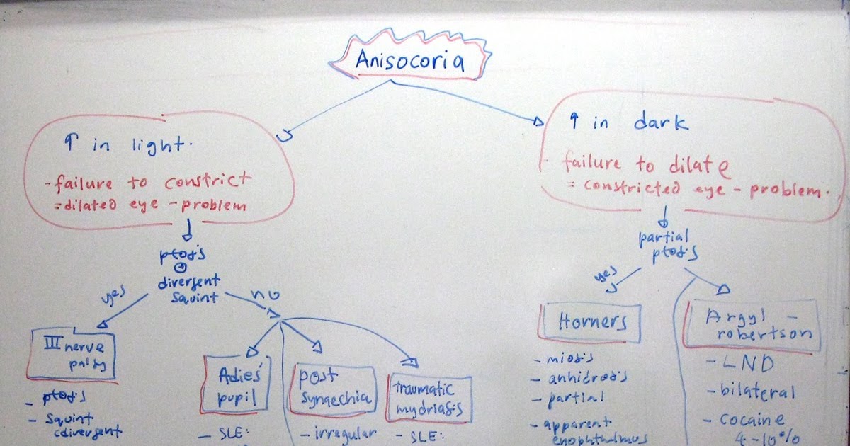 UKM Ophthal Part 2 2010: Anisocoria & Pupil Examinations