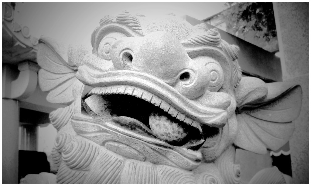 Perro Fu : Visto en Baires