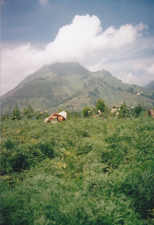 KOTA BATUKU YANG INDAH: GUNUNG PANDERMAN ( PANDERMAN MONTAIN )