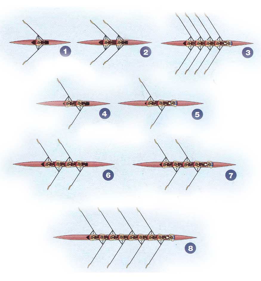 Remo en Ocho: Zona técnica:
