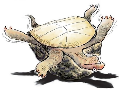 Did you laugh the first time you saw this? : r/funny