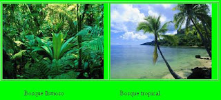 Personal Social: GEOGRAFIA BIOLOGICA.