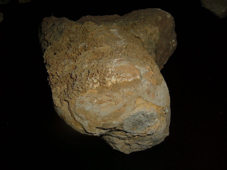 Fossil Hunting in Southeastern Minnesota