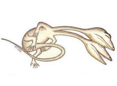 Beauty of Earth: Weirdest Deformed Animals of the World