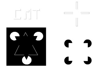 ZTest: Example Subjective Contour Illusions