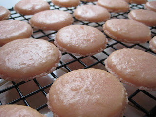 Gourmet Baking: French Macaron