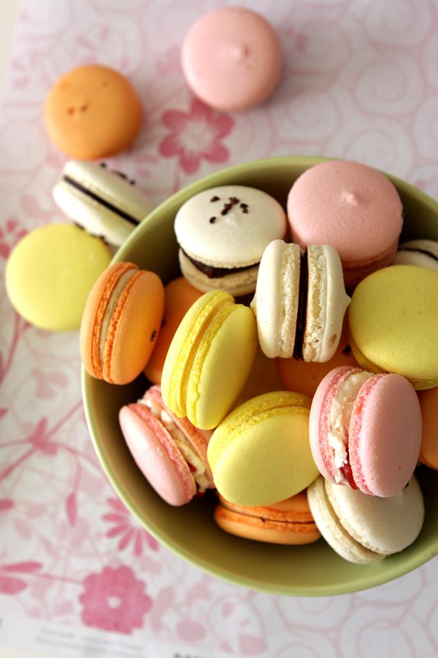Gourmet Baking: Assorted and Colorful Macarons for Christmas