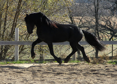 Photo Jazz: Liberty Stables