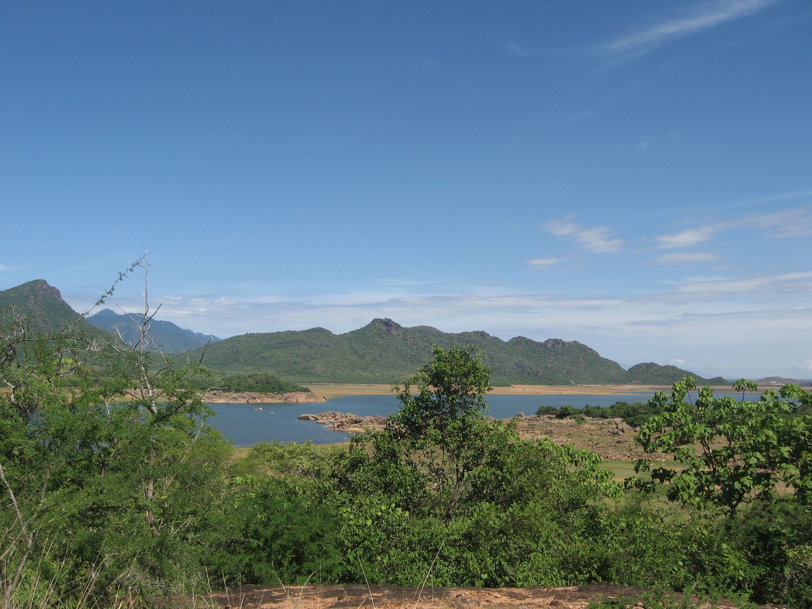 MY INDIAN VILLAGE: 2010MEGHAMALAI MAJOLAI TOUR PHOTOS 6th & 7th day ...