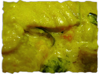 Fish Molly or mollie | Get to know your fish