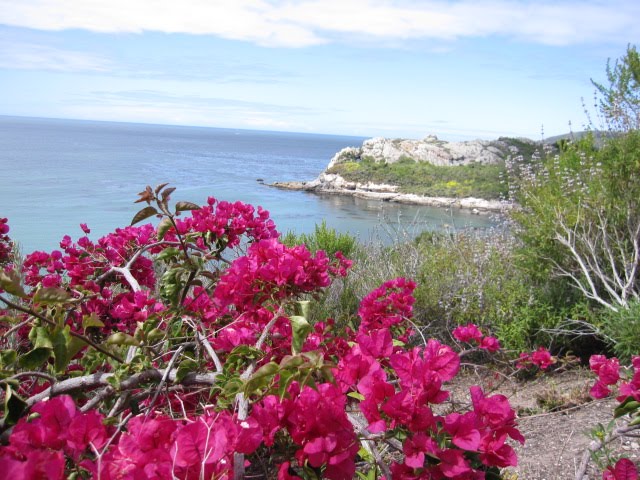 Are We There Yet? Fun Travel and Adventures with Kids: Central Coast ...