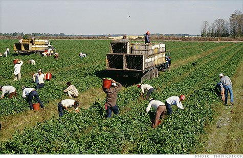 Una Vida Escondida: A Hidden Life: Migrant and Seasonal Workers in Michigan