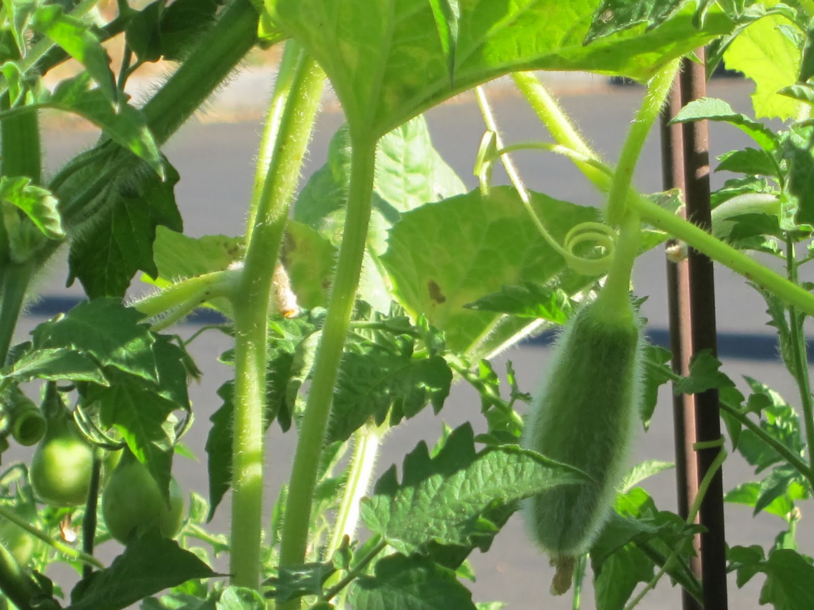 August | 2010 | Root Simple