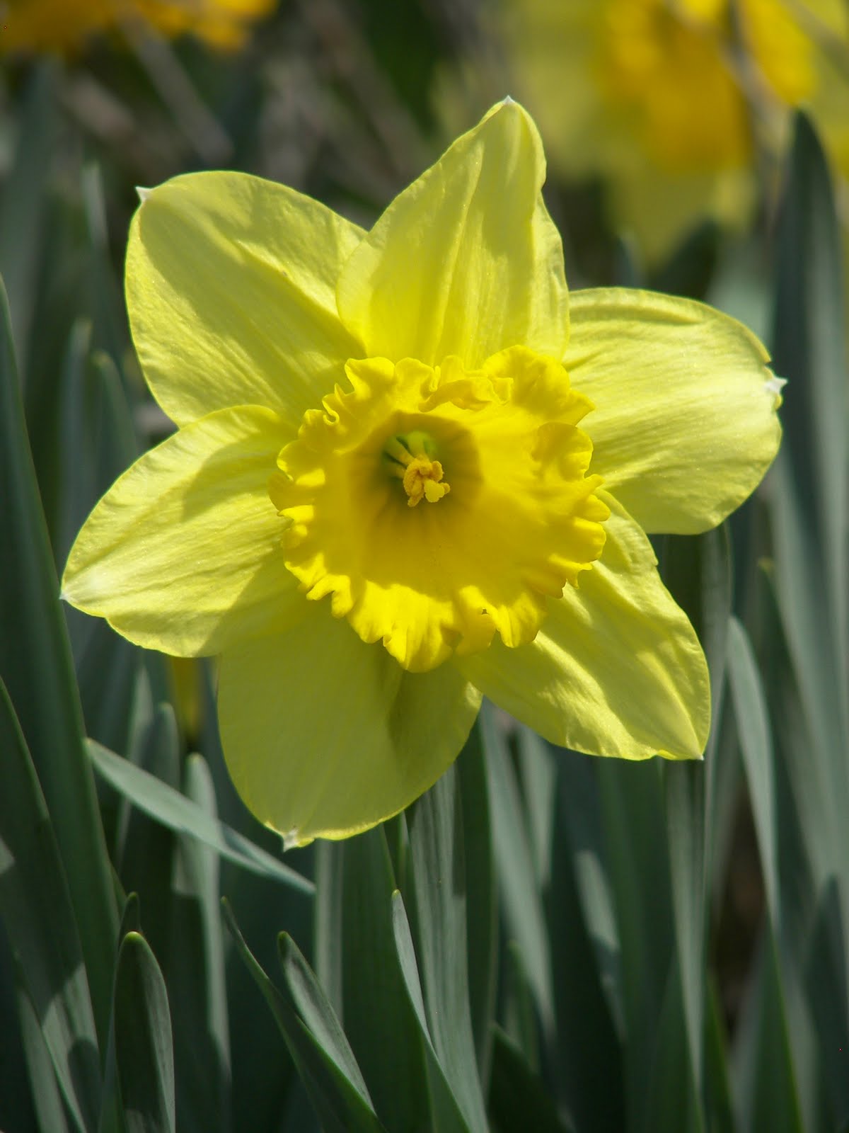 A Bit of Yellow: Yellow Stuff