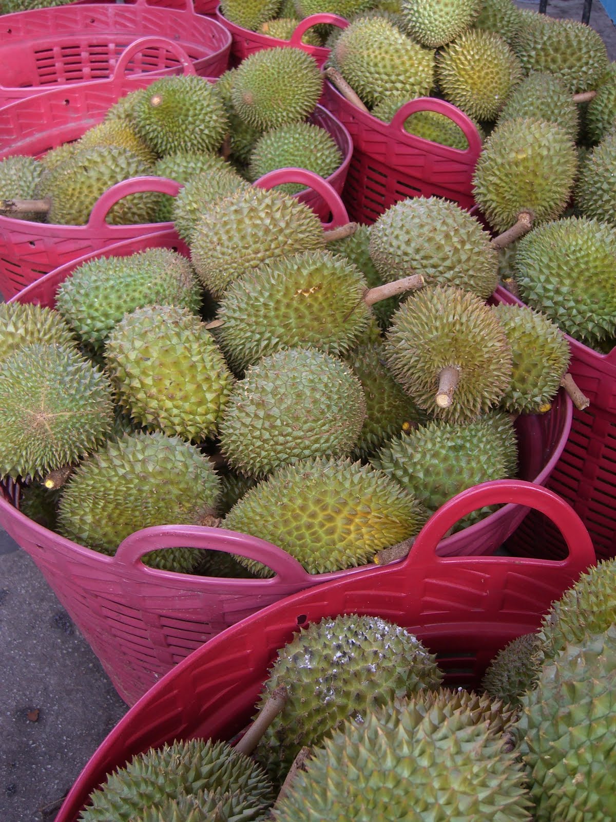 serenechoo.com: Durian season