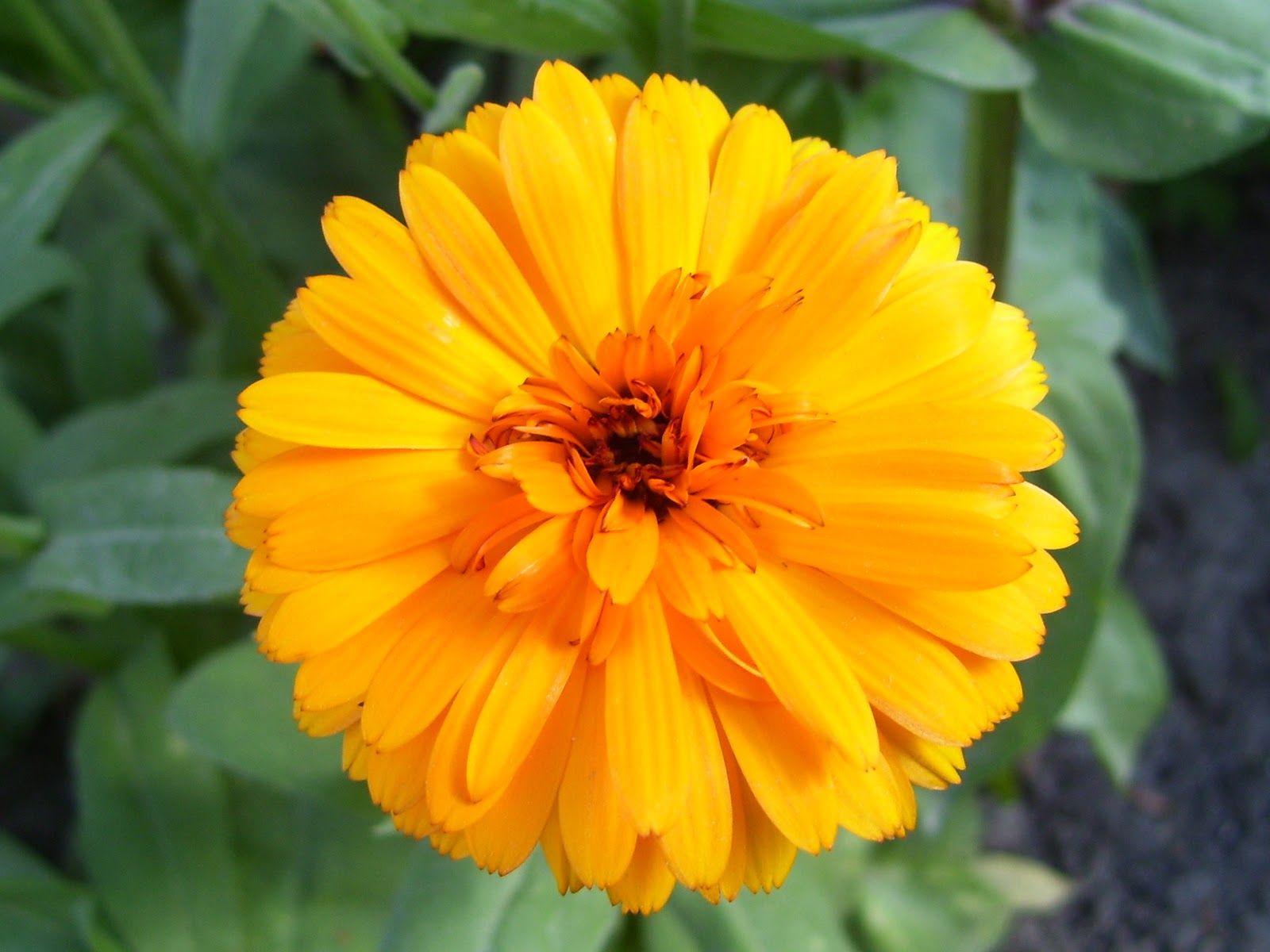 Annas prieku un darbu lāde: Paldies!