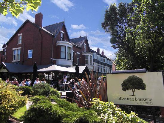 North West Living: Olive Tree Brasserie, Fantastic Greek Cuisine on the ...