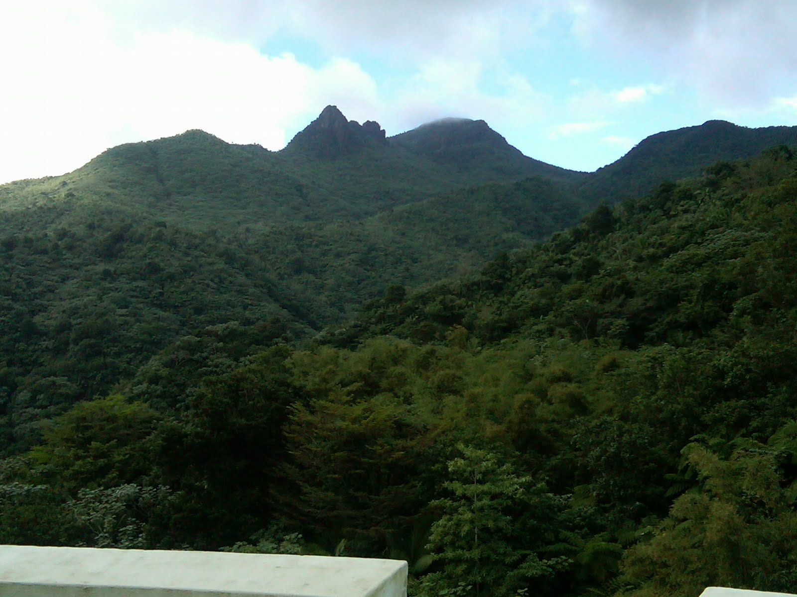Puerto Rico Is The Place: Trip To El Yunque Rain Forest In Puerto Rico
