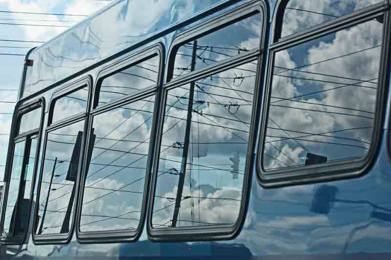 East Gwillimbury CameraGirl: October 2010