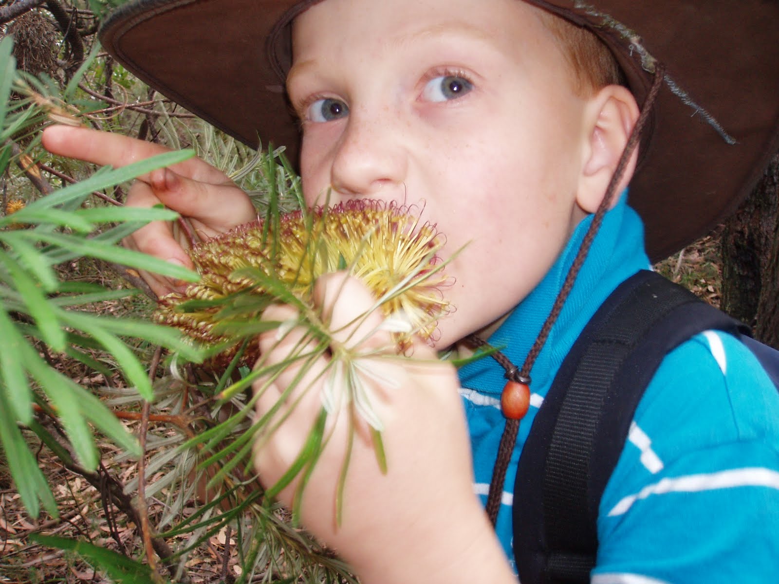 toward sustainability with three kids......: Get Outdoors Challenge ...