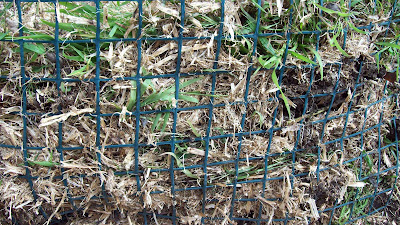 toward sustainability with three kids......: Compost and craft