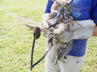 World Bird Sanctuary: A Creance Kind of Day