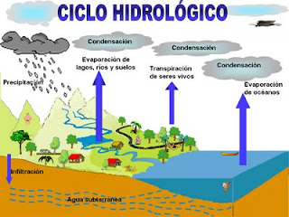 El ciclo del Agua