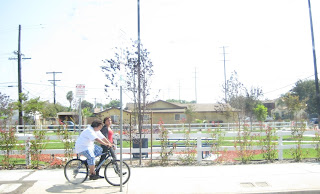 USC SOWK C109-Compton: Assets and Risks