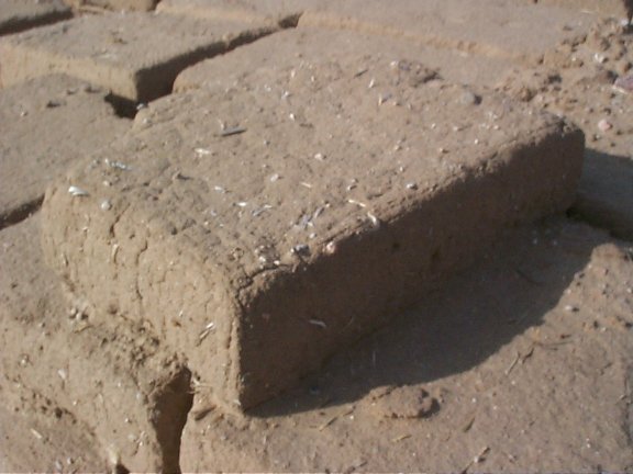 If you can dream it you can build it - Naturally!: Overview of Building ...