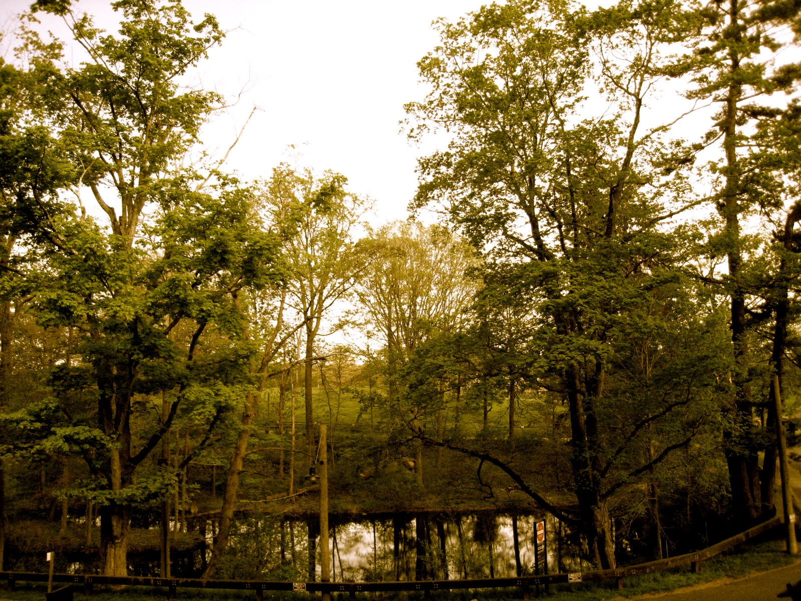 The Landless Farmer: Blue Hill Farm at Stone Barns
