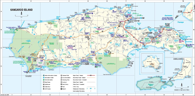 I SITI NATURALISTICI PIU' BELLI DEL NOSTRO PIANETA: KANGAROO ISLAND ...
