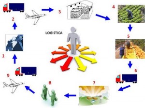 LOGISTICA ATUAL: Profissão e Carreira em Logística: O Que Faz o ...