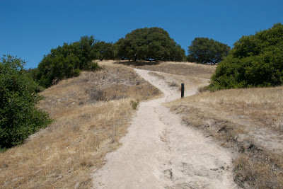 Monterey Hikes: Toro County Park
