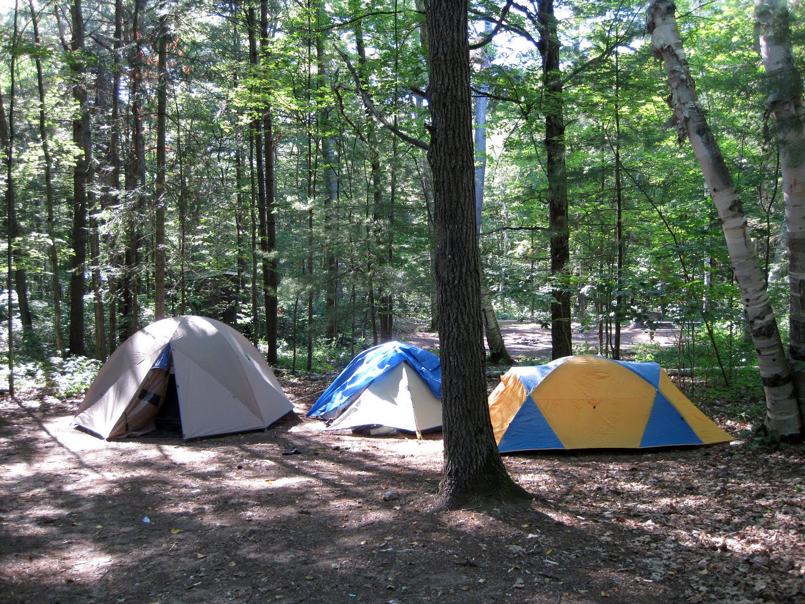 Sense and Simplicity: Bon Echo