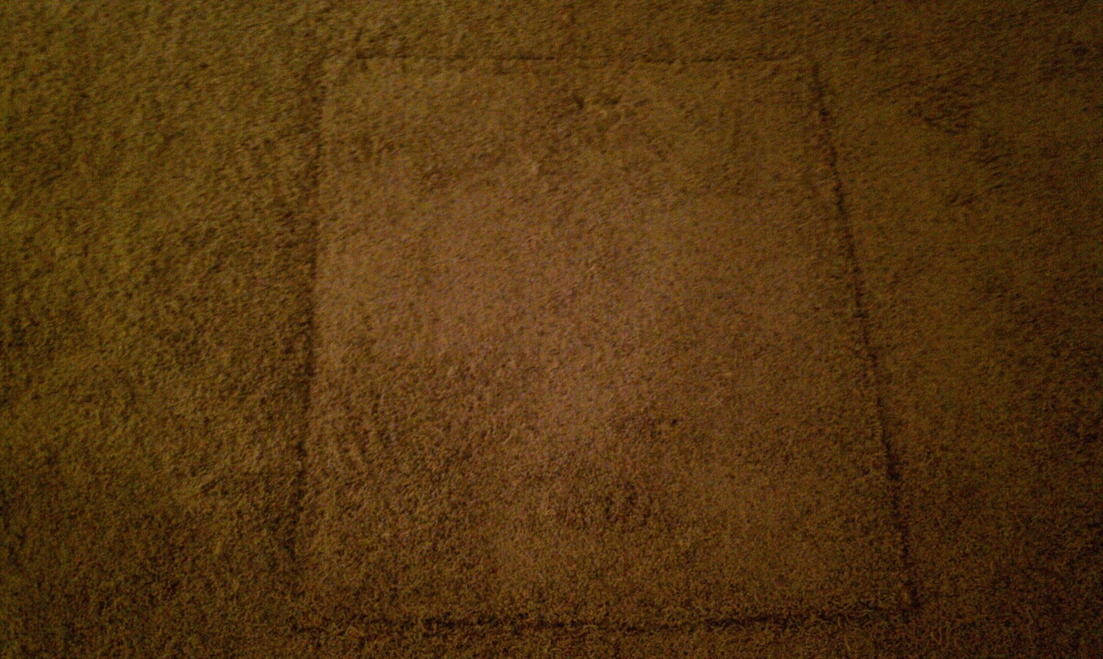 Rug Rules ~ Embrace The Crazy