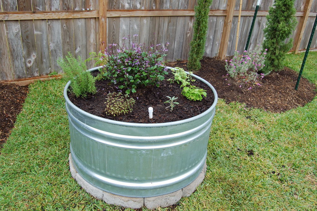 C a y l a w r a l: Stock tank gardens from start to finish