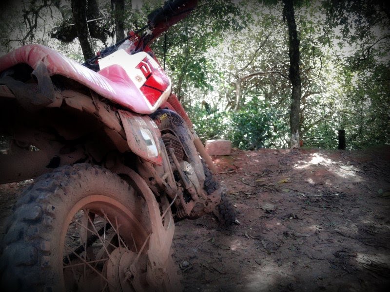 Show us your dirty bike | Page 19 | Adventure Rider